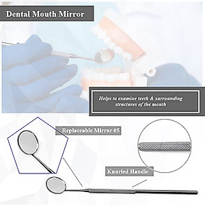 8 Pcs Oral Hygiene Kit Plaque Remover Professional Dental Picks for Teeth, Scraper, Serrated Tweezers, Mouth Mirror, Double Ended Picks for Gum Care Set - Stainless Steel with Carrying Case