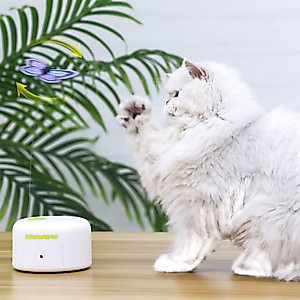 ALL FOR PAWS Interactive Cat Butterfly Flutter Replacements for Kitty Enrichment Spinner Toys, Re-Fill - 6 Pack