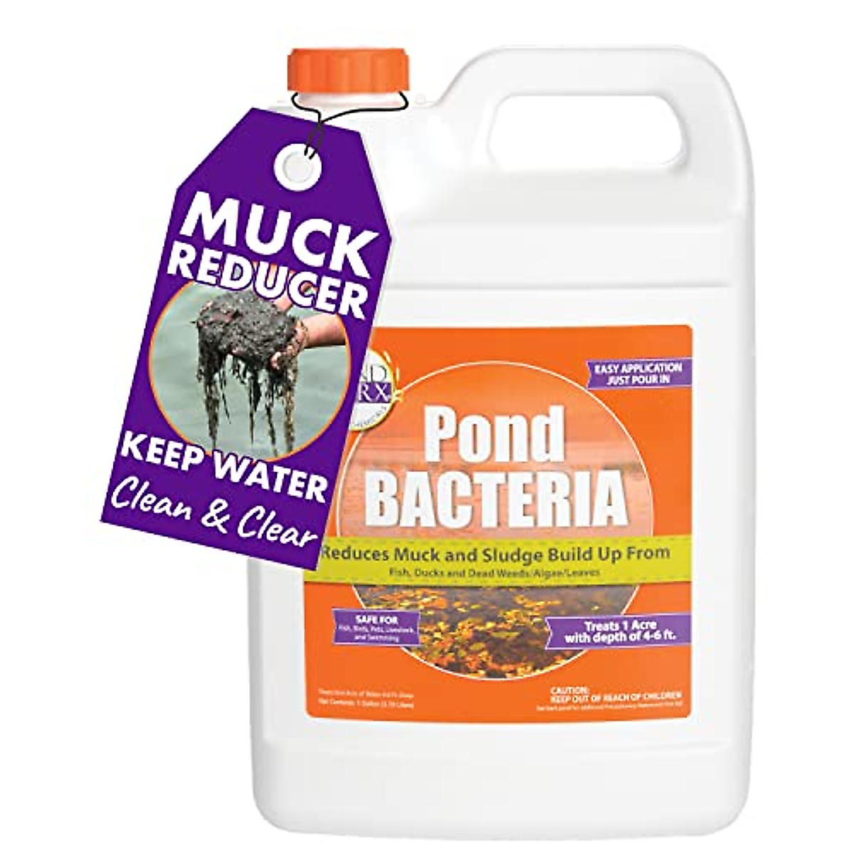 PondWorx Pond Bacteria - Formulated for Large Ponds, Water Features and Safe for Koi - Gallon