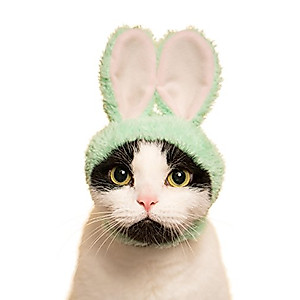 Kitan Club Cat Cap - Pet Hat Blind Box Includes 1 of 5 Cute Styles - Soft, Comfortable - Authentic Japanese Kawaii Design - Animal-Safe Materials, Premium Quality (Rabbit)