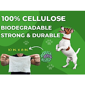 BARBERUPP Pet Wipes for Dogs - Travel-Friendly Dog Paw Wipes - Dog Wipes Cleaning Deodorizing - Puppy Wipe Set - Scented Doggie Grooming Non-Wet Wipes - 2 x 10 Individually-Sealed Pods