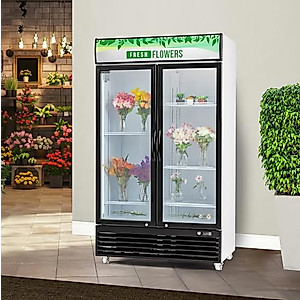 Procool Refrigeration Glass 2 Door Floral Display Cooler "Fresh Flowers" Design; 35 Cubic Ft., 45" Wide