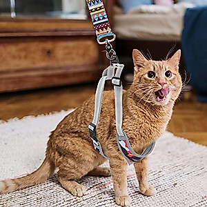 POPETPOP Reflective Vest Dog Harness - Reflective Breathable Soft Air Mesh Puppy No Pull Vest Harnesses - Escape Proof Pet Adjustable Harness for Small and Medium Dogs Small Dog Harness