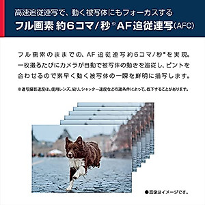 Panasonic DC-G99D [LUMIX G99D Body Four Thirds Sensor Mirrorless Camera] 20.3MP Zoom Lens Kit Shipped from Japan Released in 2022