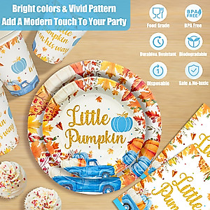 170Pcs A Little Pumpkin is On His Way Baby Shower Party Decorations Little Pumpkin Baby Shower Decorations Boy A Little Pumpkin is On The Way Baby Shower Boy Blue Pumpkin Baby Shower Decorations