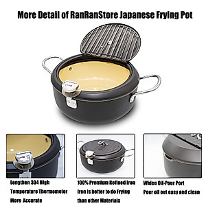 Cyrder Japanese Deep Fryer Pot with Fahrenheit Thermometer 3.5L- Nonstick Coating Fryer, Fried Tempura/Chicken/Fish/Shrimp/Meat Ball, Black 10inch