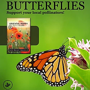 Sow Right Seeds - Oriental Poppy Seeds to Plant - Full Instructions for Planting and Growing a Beautiful Flower Garden; Non-GMO Heirloom Seeds; Wonderful Gardening Gift (1)