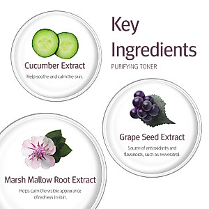 Epionce Purifying Toner - Facial & Body Toner for Problem Skin, Cleanses Dirt, Oil & Makeup with Willow Bark, Cucumber & Menthol, Dermatologist Skincare