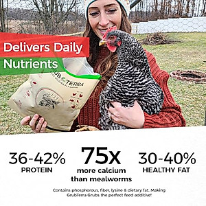 GrubTerra Dried Black Soldier Fly Larvae, Non-GMO Healthy Chicken Treats for Chicken, Ducks, Turkeys and Other Wild Birds with 75x More Calcium Than Dried Mealworms. (5lb)