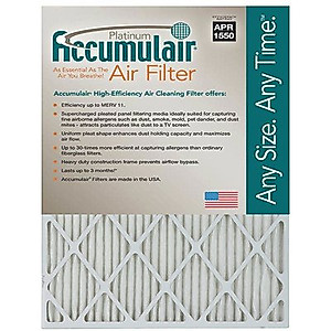Platinum Air Filter (Set of 4) Size: 14" H x 14" W x 1" D