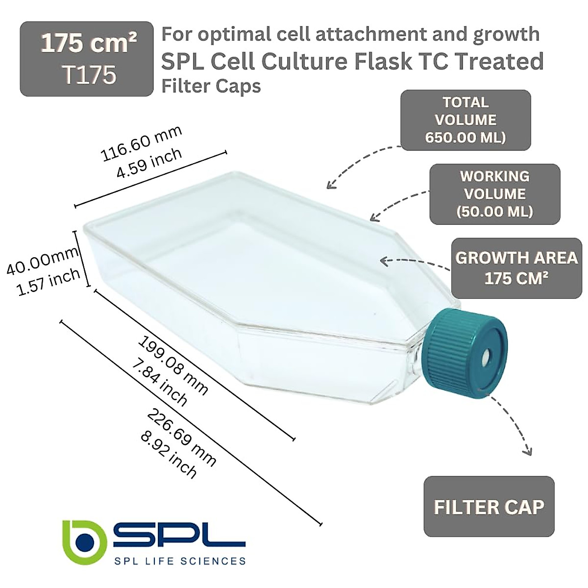 SPL Cell Culture Flask 175 cm2 (T175) Filter Cap, Treated, Sterile 40/Case