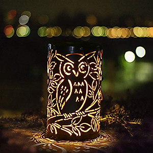 Shengming 2 Pack Hanging Solar Metal LED Lanterns Owl Design Retro Solar Lights with Handle, Outdoor Solar Garden Lights Decor for Yard Tree Fence Patio 20 Lumens Warm White