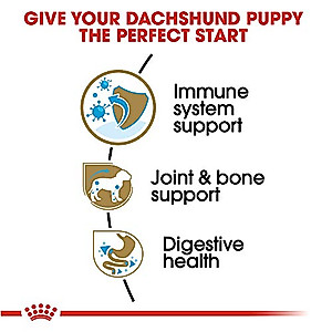 Royal Canin Breed Health Nutrition Dachshund Puppy Dry Dog Food, 2.5 lb