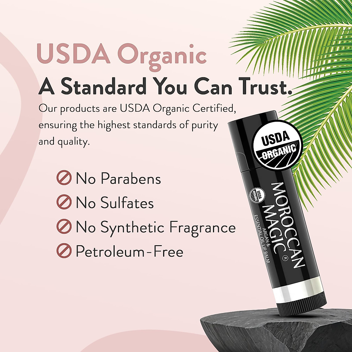 Moroccan Magic Organic Pure Coconut Lip Balm 3 Pack | Chapsticks for Dry Lips | Natural Argan & Essential Oils Lip Moisturizer + Vitamin E | Smooth, Hydrating, Non-Toxic | Organic Lip Balm Set