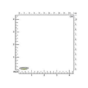 Silvershake 5 Stone Extra Petite Natural Peridot White Gold Plated 925 Sterling Silver Ring Size 6