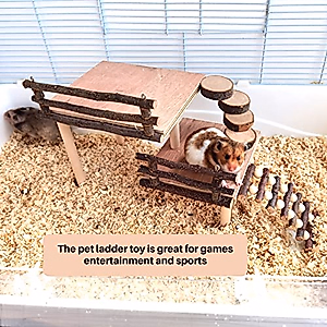 Hamster Climbing Toys Wooden Two-Tier Hamster Playground Activity Platform with Bridge Apple Wood Chewing Toys for Small Pets (Large)