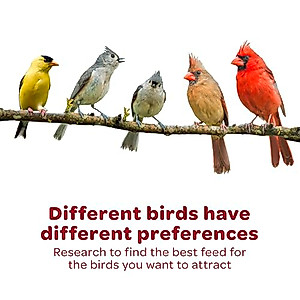 Kaytee Wild Bird Seed & Mealworm Seed Cake Food For Bluebirds, Chickadees, Woodpeckers and More, 1.4 Pound