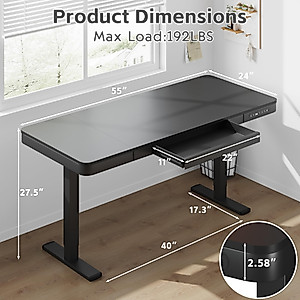 Shahoo Electric Standing Desk with Drawer, 55 x 24 inches with USB Charging Ports, Height Adjustable for Home & Office, Black