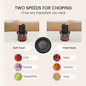 Olayks Electric Food Processor, Small Electric Food Chopper for Baby Food, Vegetables, Meat, Fruits, Nuts, 5 Cup Food Chopper with 2 Speed