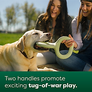 Earth Rated Tug of War Dog Toy, Interactive Pull Toy for Adult and Puppy Dogs, Ergonomic Grip, Natural Rubber, Large, Green