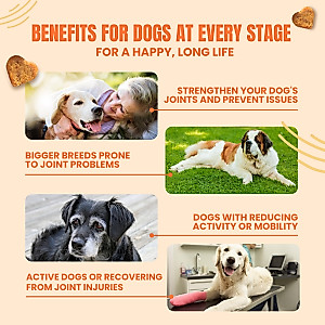 Joint Support Chews for Dogs - Advanced Dog Hip & Joint Relief Supplement for Small to Large Breeds, 120 Count Flavor Soft Chews with Glucosamine, Chondroitin, Turmeric & Hemp Oil - Made in USA