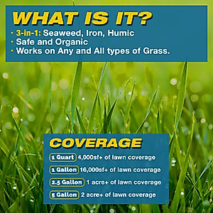 Lawn Kelp Fertilizer - Seaweed Fertilizer for Protecting & Greening Lawns (3 in 1 Formula) - Liquid Seaweed Fertilizer for Plants - Liquid Kelp Fertilizer - Organic Plant Fertilizer - Seaweed Extract