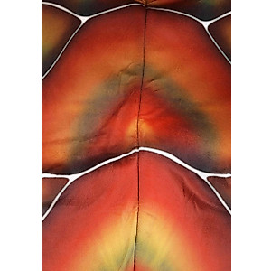 Adult Plus Size Sea Turtle Costume Unisex, Hooded Ocean Animal Halloween Bodysuit 4X Orange