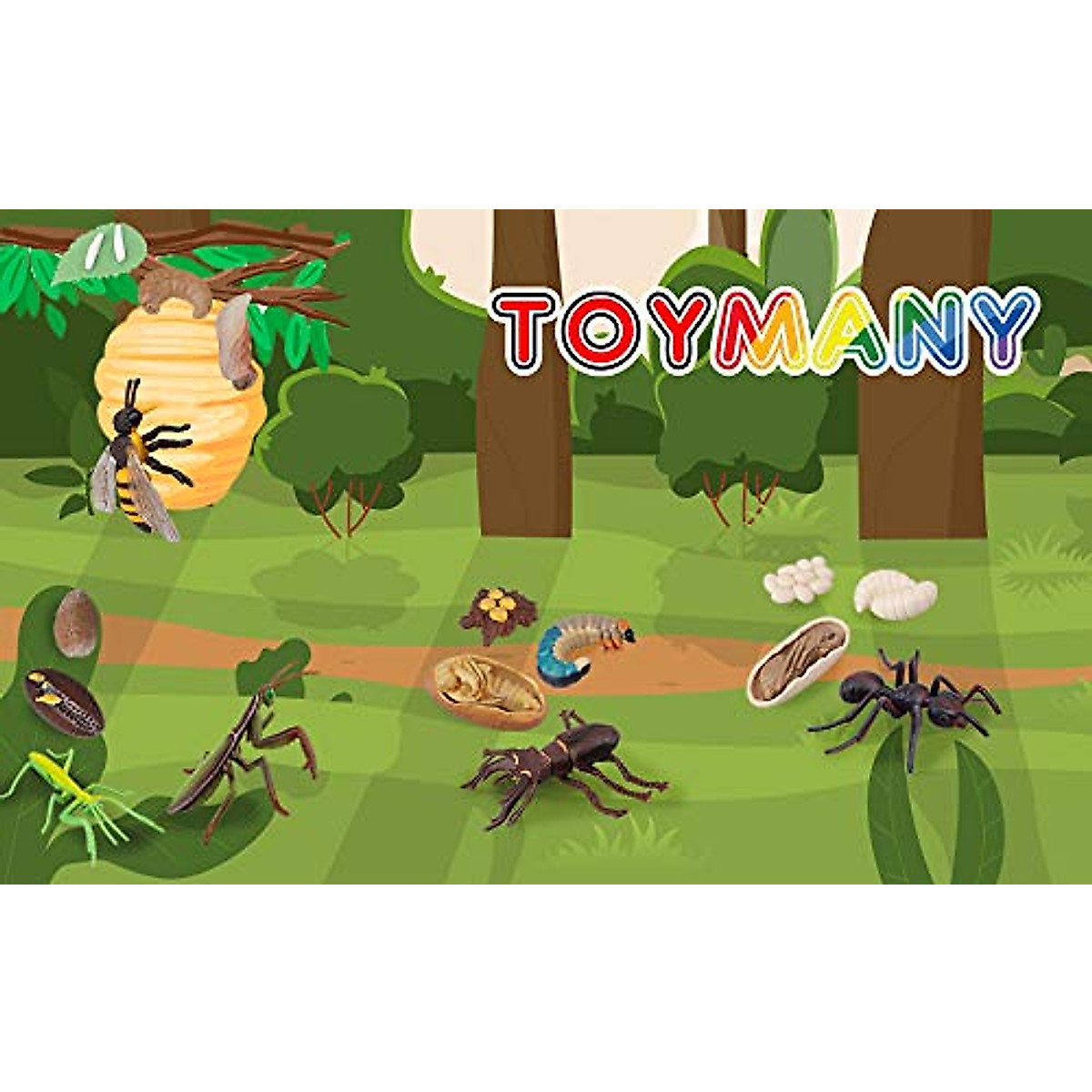 Toymany 16PCS Insect Figurines Life Cycle of Stag Beetle,Honey Bee,Mantis,Ant Plastic Safariology Bug Figures Toy Kit Caterpillars to Butterflies Educational School Project for Kids Toddlers