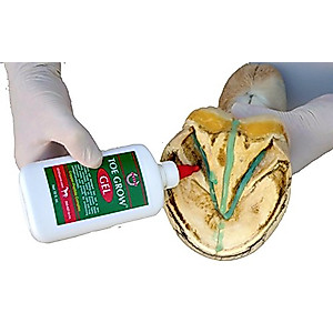 SBS Equine Toe Grow Gel - Horse Hoof Care Product Promotes Hoof Growth and Healing - Increases Blood Flow and Collagen Production - 10oz