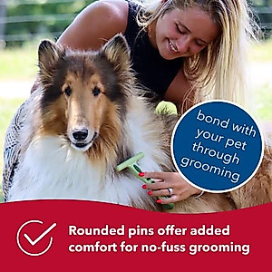 Coastal Pet Safari Dog Single Row Undercoat Rake - Undercoat Brush for Dogs with Medium and Long Hair - Dog Detangler Comb and Dematting Brush - Single Row