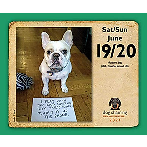 Dog Shaming 2021 Day-to-Day Calendar