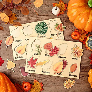 Kathfly 2 Pieces Leaf Wooden Jigsaw Puzzles Leaf Puzzle Montessori Toy Montessori Puzzle Early Educational Learning Puzzle for Birthday Gift Early Education School (Cute)