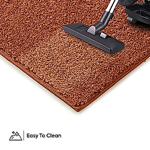 Furnish my Place Modern Plush Solid Color Rug - Rust, 3' x 5', Pet and Kids Friendly Rug. Made in USA, Rectangle, Area Rugs Great for Kids, Pets, Event, Wedding