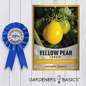 Yellow Pear Tomato Seeds for Planting Heirloom Non-GMO Seeds for Home Garden Vegetables Makes a Great Gift for Gardening by Gardeners Basics