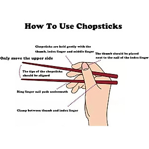 Slivek 5 Pair Reusable Chopsticks Dishwasher Safe, 9.45 inch/24 cm Non-Slip Fiberglass Home/Restaurant Chopsticks, Chinese/Japanese Korean Style Chopsticks (Black)