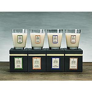 ZODAX Illuminaria Collection Scented Candle Small Glass Jar in Gift Box (Rio de Janeiro) - 340 GR/12 OZ