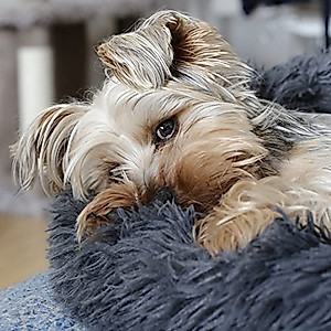 Calming Dog Bed for Small Dogs Washable Bed for Dogs with Anxiety,Small Donut Cuddler Dog Bed Self Warming 20 Inch,Small Round Soft Fluffy Grey Faux Fur Dog Bed for Dogs Under 10 lb