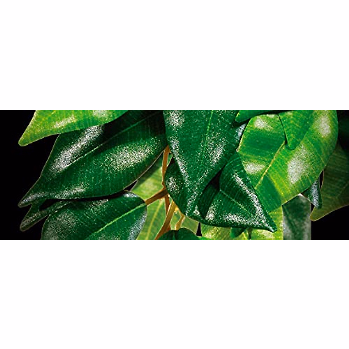 Exo Terra Plastic Terrarium Plant, Small, Mandarin