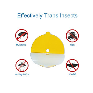 24 Pcs Flea Trap Refill Discs 5.4" Replacement Glue Boards with Hole for Flea Traps for Inside Your Home, Sticky Pads for Fleas, Bugs, Flies, Mosquitos, etc