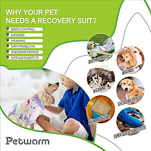 PetWarm Dog Surgical Recovery Suit – Post-Spay & Neuter, Weaning, Prevents Licking After Surgery Onesie for Male & Female – Pet Recovery Suit for Dogs – Professional Pet Recovery Shirt, XX-Large