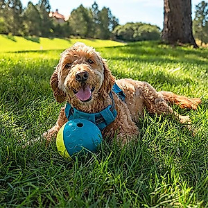 Outward Hound Nina Ottosson Treat Tumble Interactive Treat Ball Dog Puzzle Dog Enrichment Dog Toy, Level 1 Beginner, Blue, Small