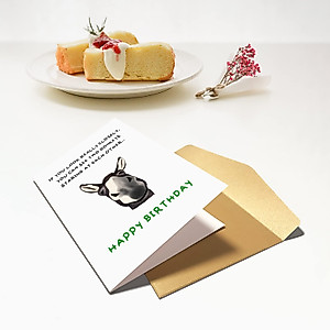 Chenive Funny Donkey Birthday for Him Her, Quirky Birthday Card for Friend Brother Sister, Humorous Birthday Greeting Card for Men Women, Two Donkeys Staring at Each Other