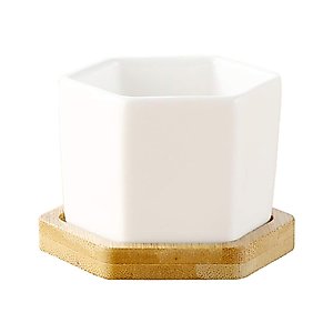 Ochine 3 Inches Ceramic Cactus Flower Pot with Bamboo Tray Small Succulent Planter Modern Indoor Outdoor Plant Pots Set Home Planters Container Bonsai Pots with Drainage Hole