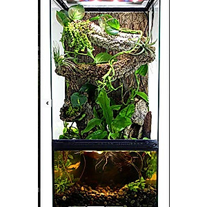 Zoo Med Paludarium Habitat Kit - 12" x 12" x 24"