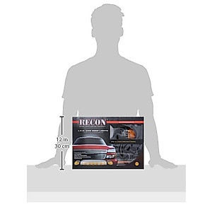 Recon 264155AM Truck Cab Roof Light