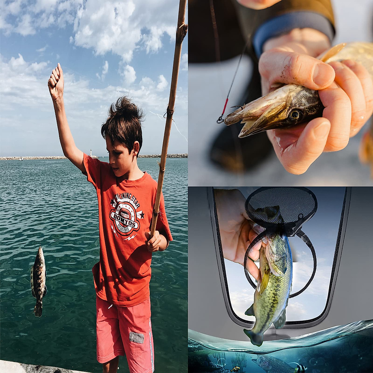 WHCDSTGJ Transparent Lid Fishing Bucket, Portable Foldable Fishing Bucket, Live Bait Bucket with Aeration Hole, for Bait Bucket, Live Fish Bucket, Live Bait Storage.4/6/8 gallons (8 gallons)