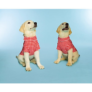 Doggy Parton Red Gingham Western Collared Shirt for Pets - XS