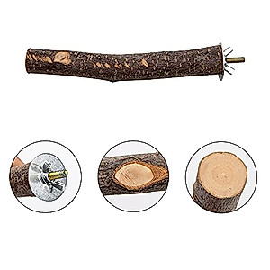 EBaokuup 5PCS Natural Wood Bird Perches for Parrot - Wooden Bird Parrot Stand Branches Parakeet Cage Perch Accessories for Small Birds Budgies Cockatiels Conure Lovebirds