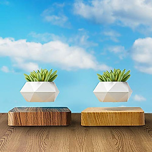 HOMEXXPRESS Levitating Plant- Floating Plant Pot - Magnetic Planter 360-Degree Rotation - Home Desk Office Kitchen Indoor Decor - Succulent Bonsai Air Plant - Maceta Flotante (Light Brown)