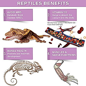 Gargeer 4oz Gecko Calcium without Vitamin D3, Phosphorus-free, Ultrafine Powder. Ready to Use Supplement for Geckos & Fruit-Eating Reptiles. Flavored with Real Organic Tropical Fruits. Made in the USA